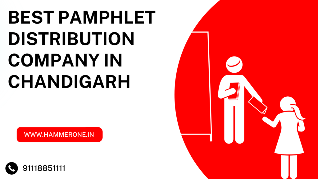 Best Pamphlet Distribution Company in Chandigarh | Hammer One